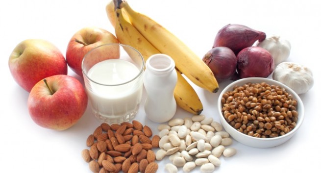 Food sources of pro-biotics and pre-biotics. | Central Performance