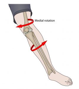 Physio treatment For The Most Common Knee Injuries In Sport | Central ...