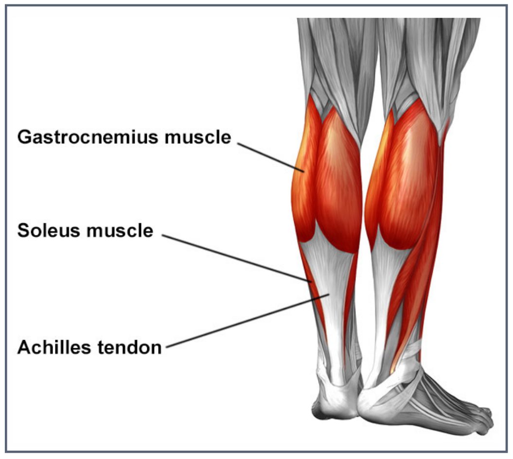 Plyometric Exercise For Achilles Pain | Central Performance