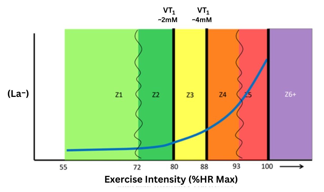 Low Intensity Running Training | Central Performance